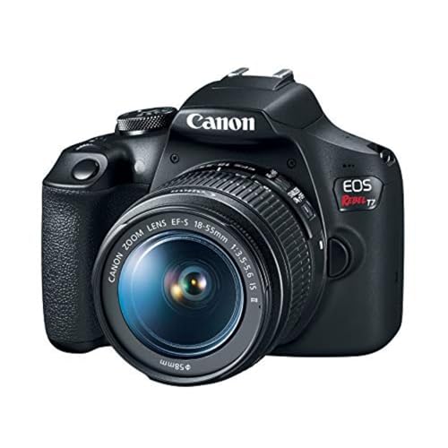 Best Rated DSLR Camera: Top Canon and Nikon Models with Essential ...